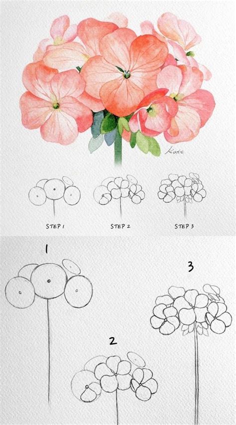 Types Of Flowers Drawing Printable Infoupdate Org