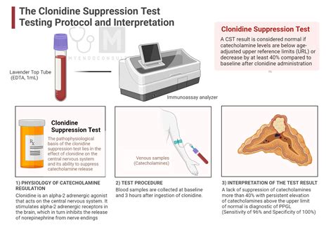 Clonidine Suppression Test My Endo Consult