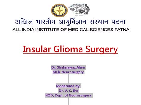 Insular Glioma Surgerypptx