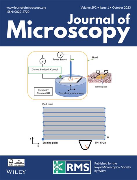 Contrast‐enhanced Single‐shot Led Array Microscopy Based On Fourier Ptychographic Algorithm And