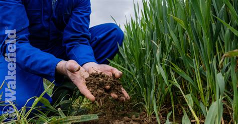 Nrcs Program And Biochar Overview Wakefield Biochar