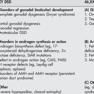 PDF Consensus Statement On Management Of Intersex Disorders