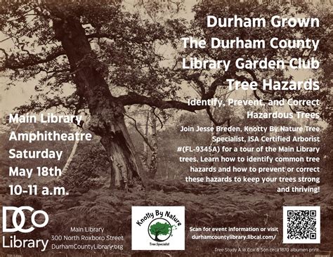 Free Tree Hazard Awareness Class Rbullcity