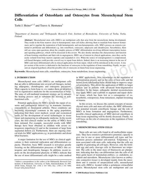 Pdf Differentiation Of Osteoblasts And Osteocytes From Mesenchymal