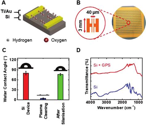 Sars Cov 2 Biosensor Fabrication And Characterization A The Schematic Download Scientific