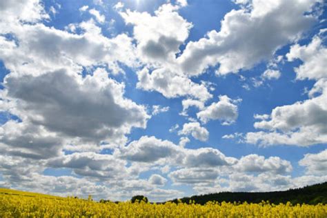 Rain Cycle How It Affects Agriculture Al Ardh Alkhadra