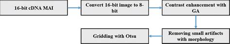 Microarray Images Contrast Enhancement And Gridding Using Ge