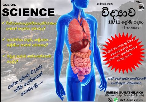 Grade 10 11 Science Classes Science Ol Grade 6 11 Kalutara