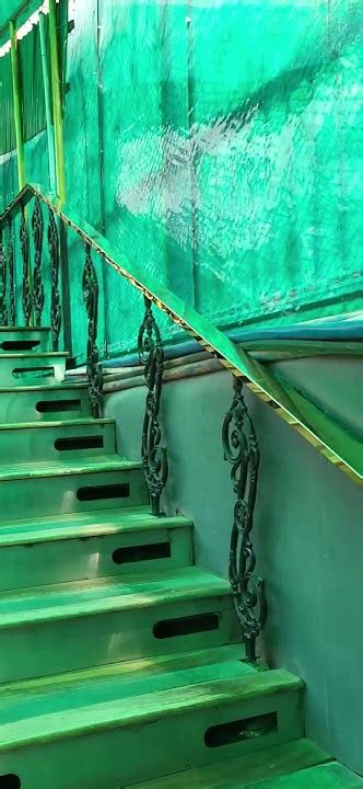 Viralshort Viralvideo Trendingshorts Delhi Travel Kitty Enjoy Happy Youtube