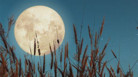 Hëna E Plotë E 25 Marsit Ja Se çfarë Pritet Të Ndodhë Gazeta Shqip