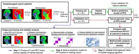 Ct上覆盖肿瘤本身和肿瘤周围变化的放射组学模型提高临床i期实体肺腺癌预后的准确性 知乎