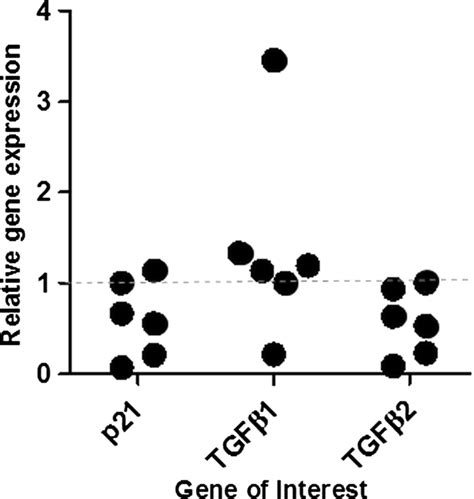 Gene Expression Analysis Using Formalin Fixed Paraffin Embedded Download Scientific Diagram
