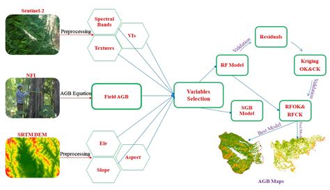Estimating Aboveground Biomass Of Two Different Forest Types In Myanmar From Sentinel 2 Data