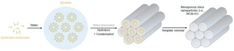 Silica Nanoparticles Encyclopedia Mdpi