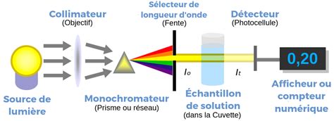 Le Spectrophotomètre Labster Theory Le Spectrophotomètre Labster Theory