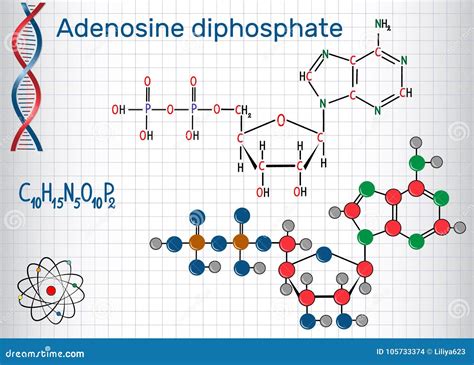 Adp Structure