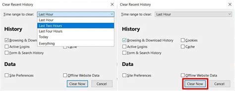 delete browsing history in safari chrome and firefox