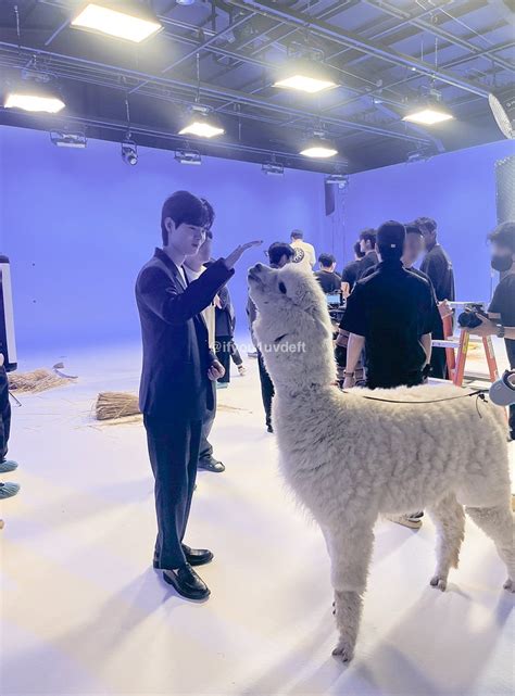 데프트와 알파카 치지직 에펨코리아