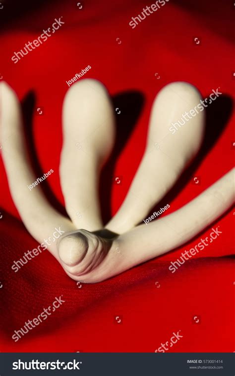 D Printed Female Sex Organ Clitoris Stock Photo Edit Now