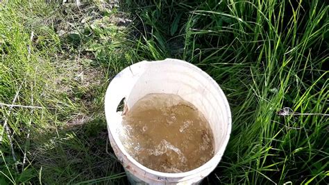 Бешеный клёв Ловля карася на червя Оторвались на рыбалке Youtube