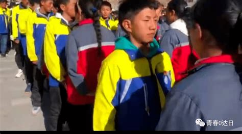 达日县民族中学团委组织开展纪念五四运动102周年建党100周年青春心向党建功新时代新团员入团仪式 团徽