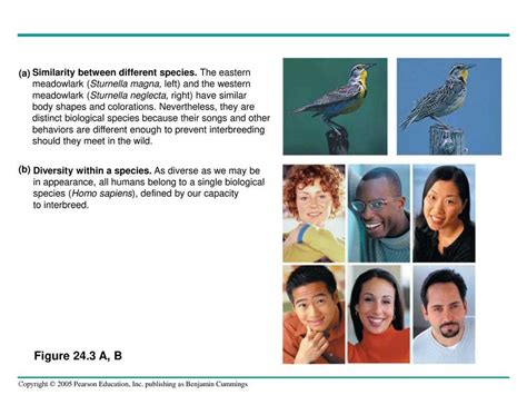 Unveiling The Answers Exploring Chapter 24 The Origin Of Species