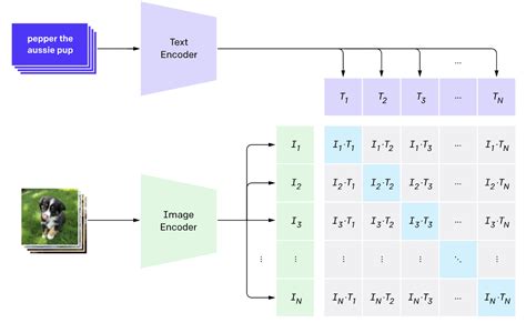 The Three Types Of Contrastive Learning Jack Morris Personal Website