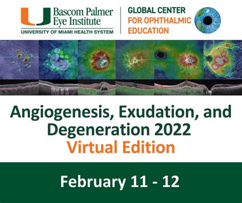 Bascom Palmer Eye Institute On Linkedin Bascompalmereyeinstitute Bascompalmer Angiogenesis