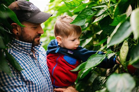 Orisha Automation Greenhouse Automation For Market Gardeners