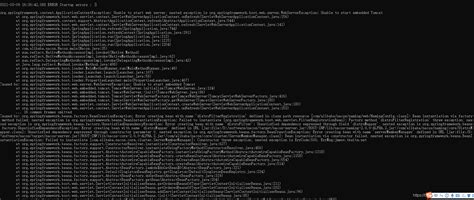 Nacos Unable To Start Web Server； Nested Exception Is Org