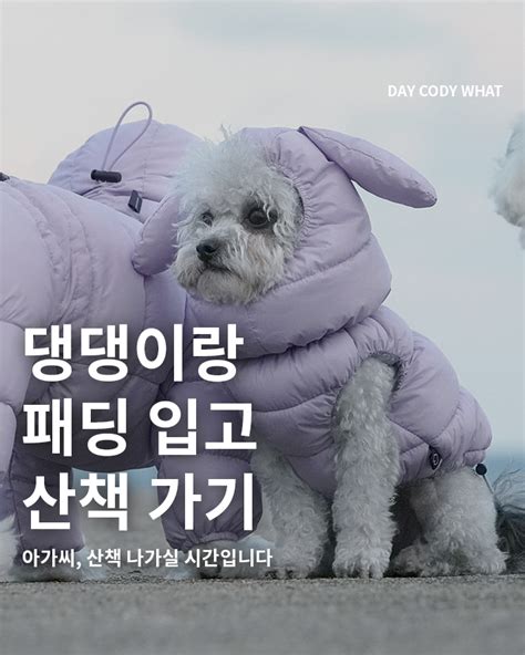 내일 옷 뭐입지 내일 옷 뭐입지 갑자기 추워진 날씨에 기온별 옷차림 가이드 한장에 깔끔하게 소개할게요🔥 저장해놓고 기온처럼 체크해보자 📌editor 파크민 📌