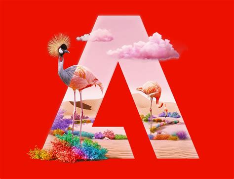 Adobe Learn 了解 After Effects