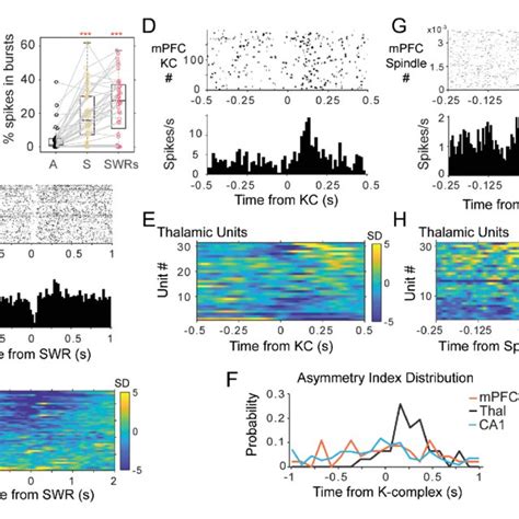 identification of non rem sleep oscillatory events in mpfc and ca1 a