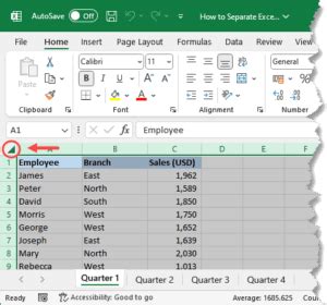 Separate Excel Sheets Into Separate Files 5 Easy Ways