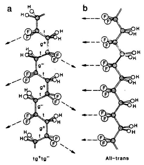 2 Schematic Depiction Of The Two Most Common Chain Conformations Of