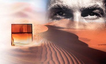 Hoggar Yves Rocher cologne - a fragrance for men 2005