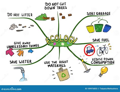 Tree Mindmap Timeline Process Infographics Template Background Cartoon Vector Cartoondealer