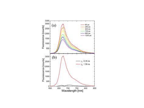 Picosecond Time Resolved Fluorescence Spectra Of Bphp1 Fp Download