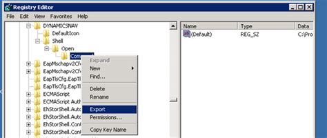Debugging Dynamics Nav In A Side By Side Installation Peiks Corner