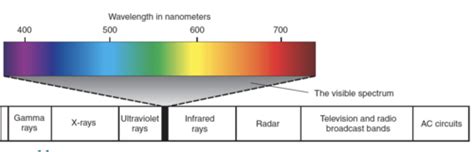Psyc Chapter Flashcards Quizlet