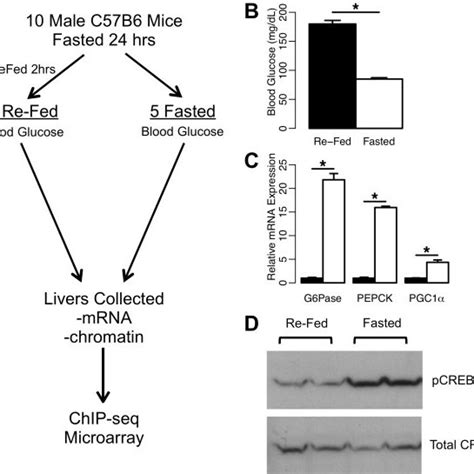 Experimental Design And Validation A Overview Of Experimental Design Download Scientific