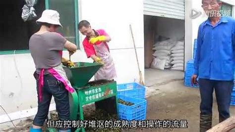 香榧采摘与加工 高清1080P在线观看平台 腾讯视频