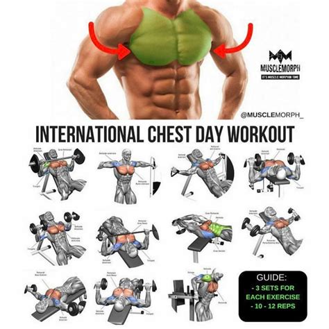 40 Ideas De Gym Pecho Para Guardar Hoy Ejercicios Para Pecho