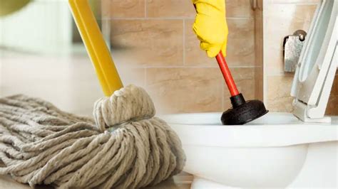 Pourquoi Les Plombiers Glissent Un Chiffon Dans Les Toilettes Et Pourquoi Vous Devriez Faire