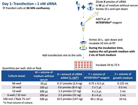 Dilution Calculations R Labrats
