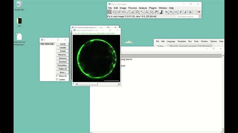 Imagej Macro For Carl Zeiss Image Czi File Processing Youtube
