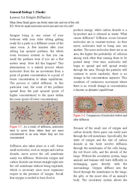 Simple Diffusion General Biology 1 Finals Lesson 5 Simple Diffusion Main Ideas Small Gases