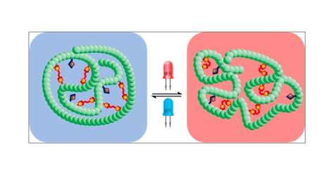 Visible Light Switchable Single Chain Nanoparticles Macromolecules