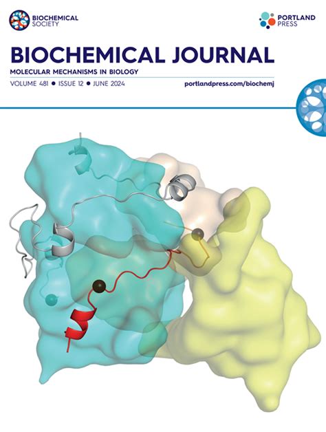 Rna Processing By The Crispr Associated Nyn Ribonuclease Biochemical Journal Portland Press