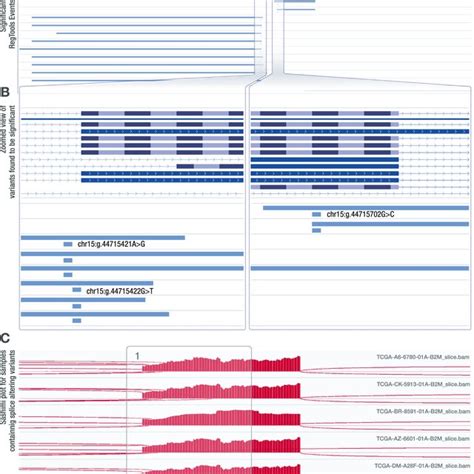 Overview Analysis Of Transcriptomic Rna‐seq A The Length Of All Download Scientific Diagram